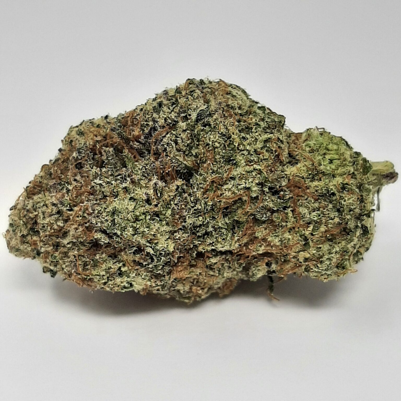AAAA+ Mango Kiwi Haze By Kootenayz Exoticz (36-40% THC) - GreenLeaf Express
